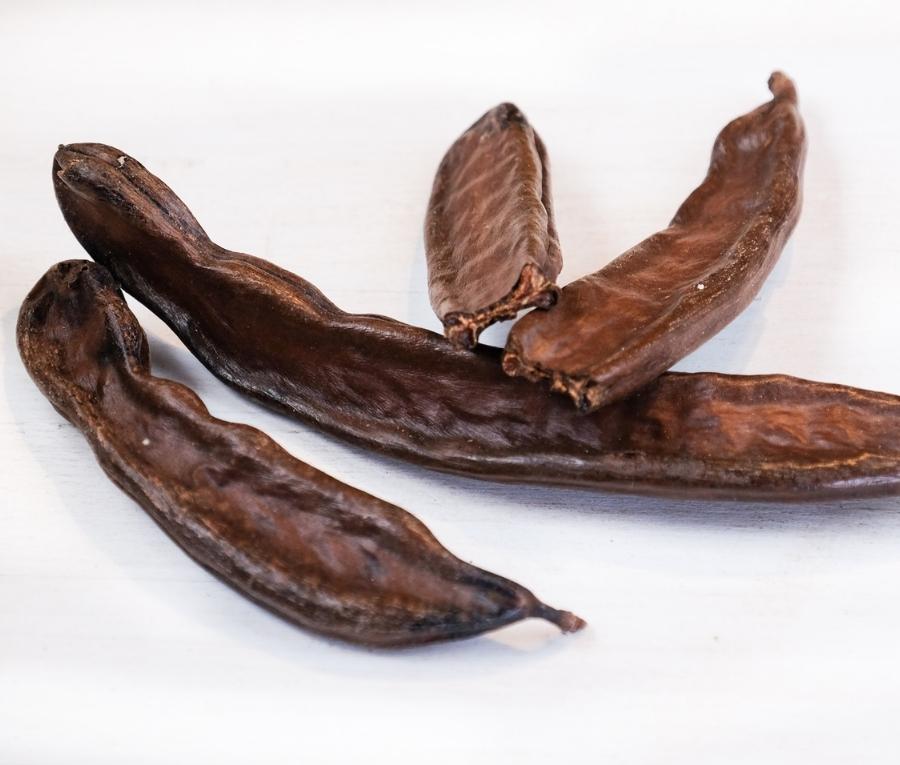 Karob, wiecznie zielone drzewo - Blog InCampagna