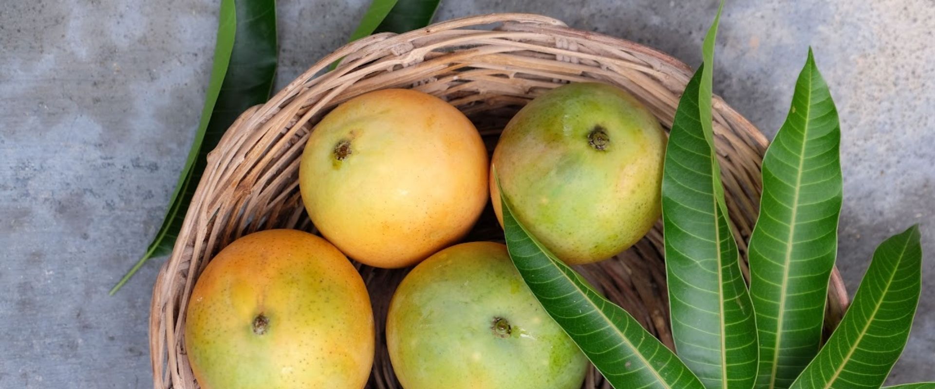 Mango: uno dei frutti tropicali più amati - Blog InCampagna