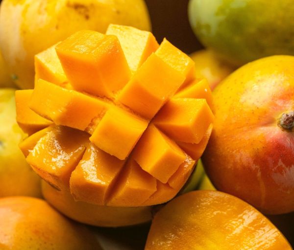 Mango: uno dei frutti tropicali più amati - Blog InCampagna