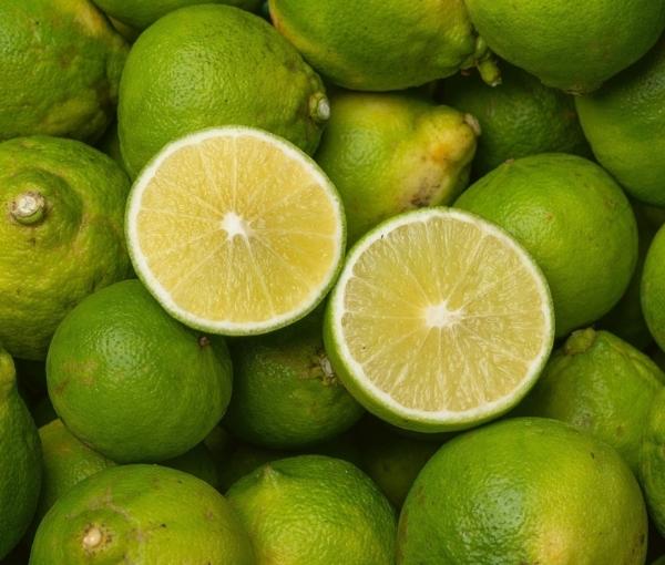 Bergamotto: origine, usi e proprietà - Blog InCampagna