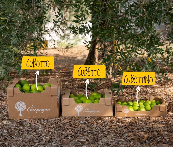 Cubotto, cubetto e cubottino - Blog InCampagna