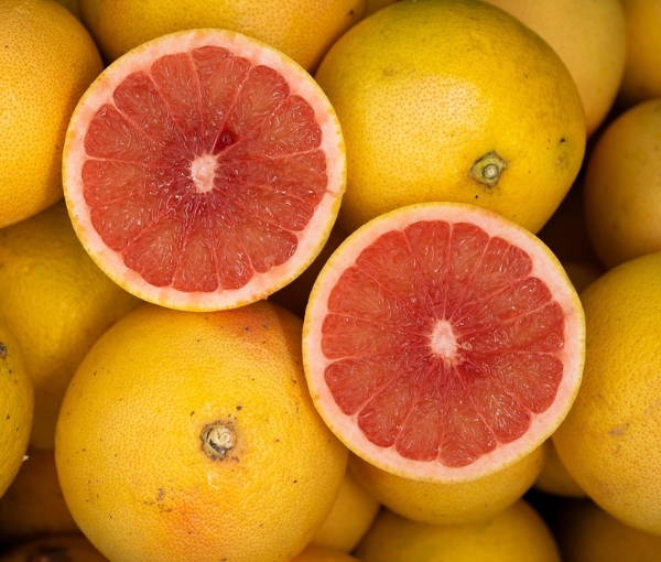 Pompelmo rosa Star Ruby: caratteristiche e proprietà