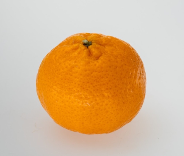 Mandarynka - Blog InCampagna