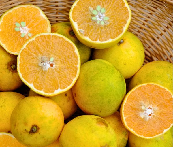 Mapo: caratteristiche e proprietà - Blog InCampagna