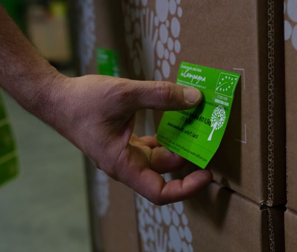 Wie erkennt man ein Bio-Produkt? - Blog InCampagna